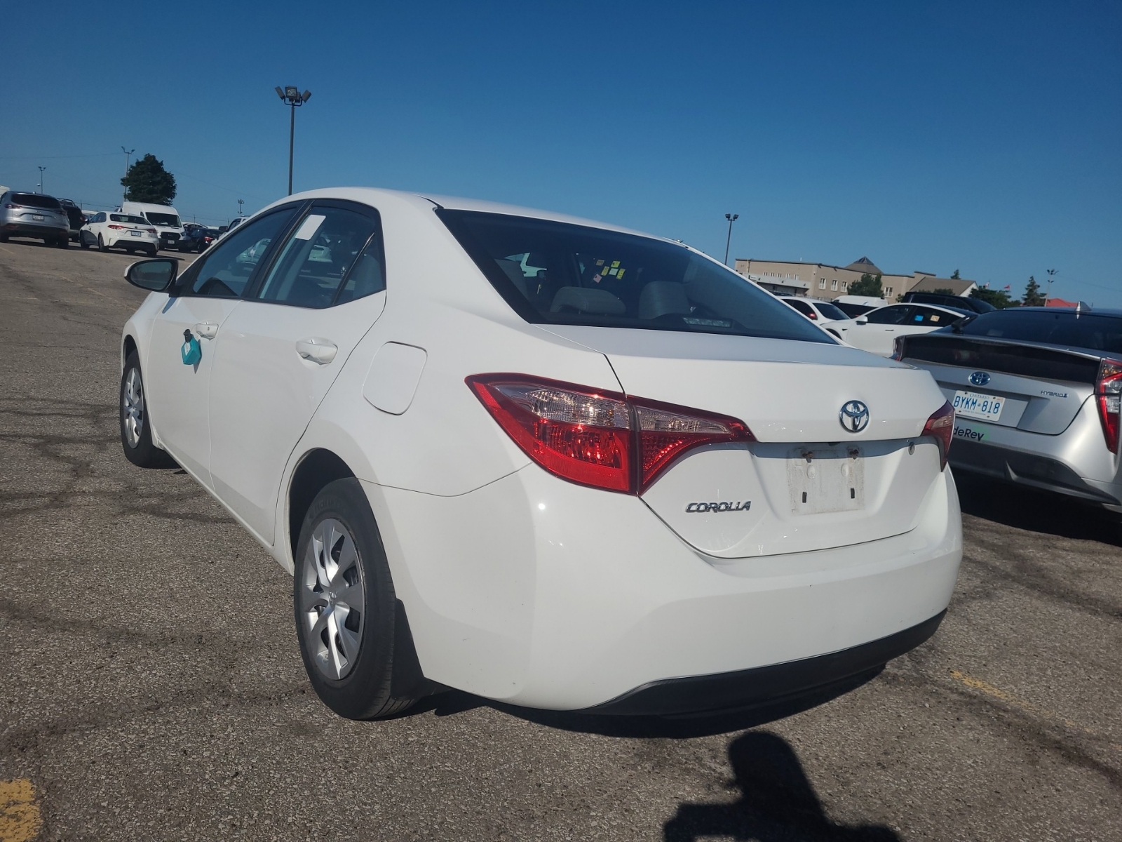 2018 Toyota Corolla Pearl White Lane Assist / Forward Safety / Reverse ...